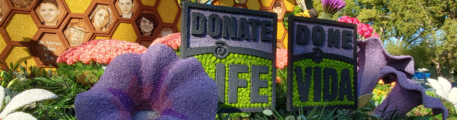 Rose Dedication : JJ's Legacy